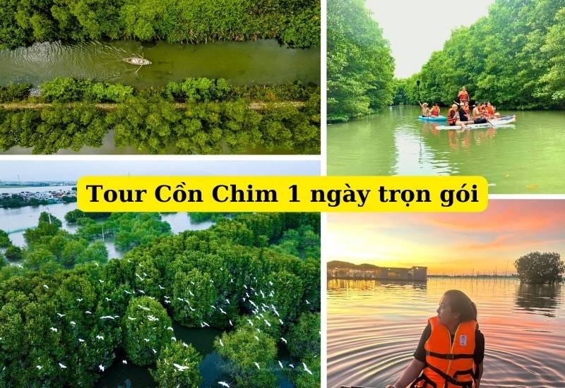 [645K] Tour Cồn Chim Quy Nhơn – Khám phá miền Tây thu nhỏ